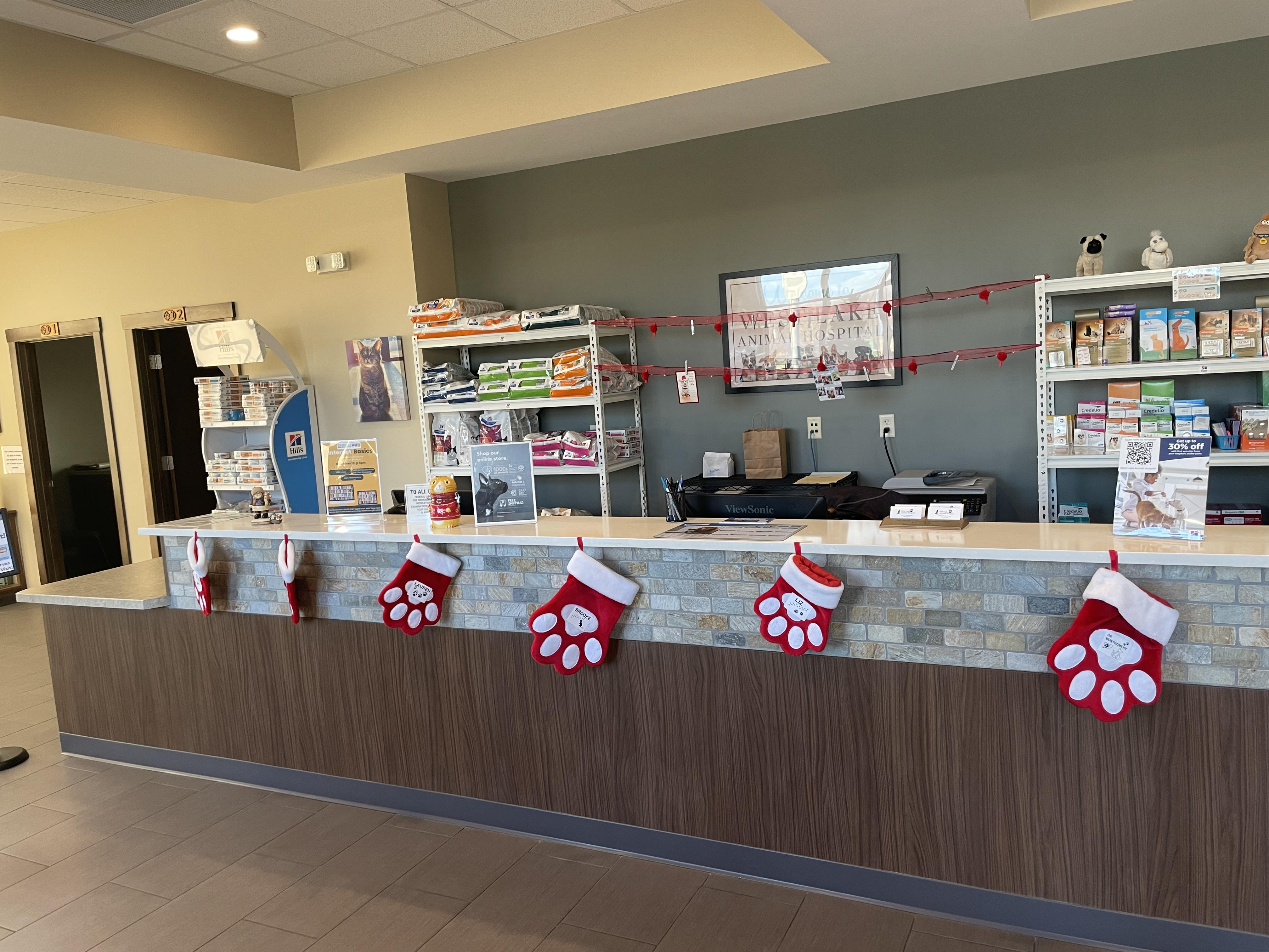 What to expect during your cat’s visit – West Lake Animal Hospital